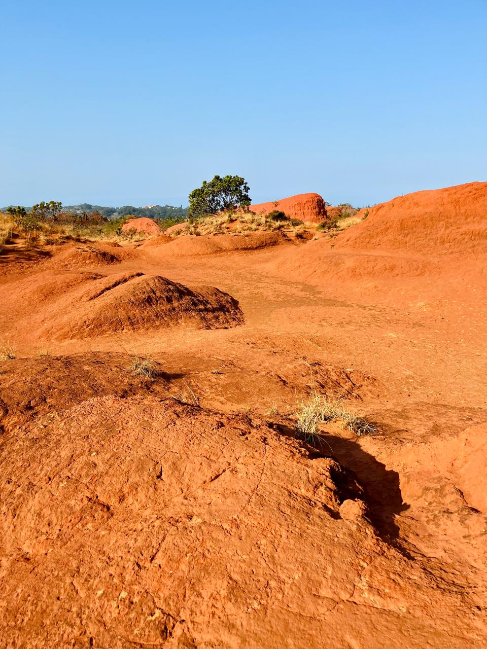 The Red Desert – Everything You Need to Know | South Coast Explore