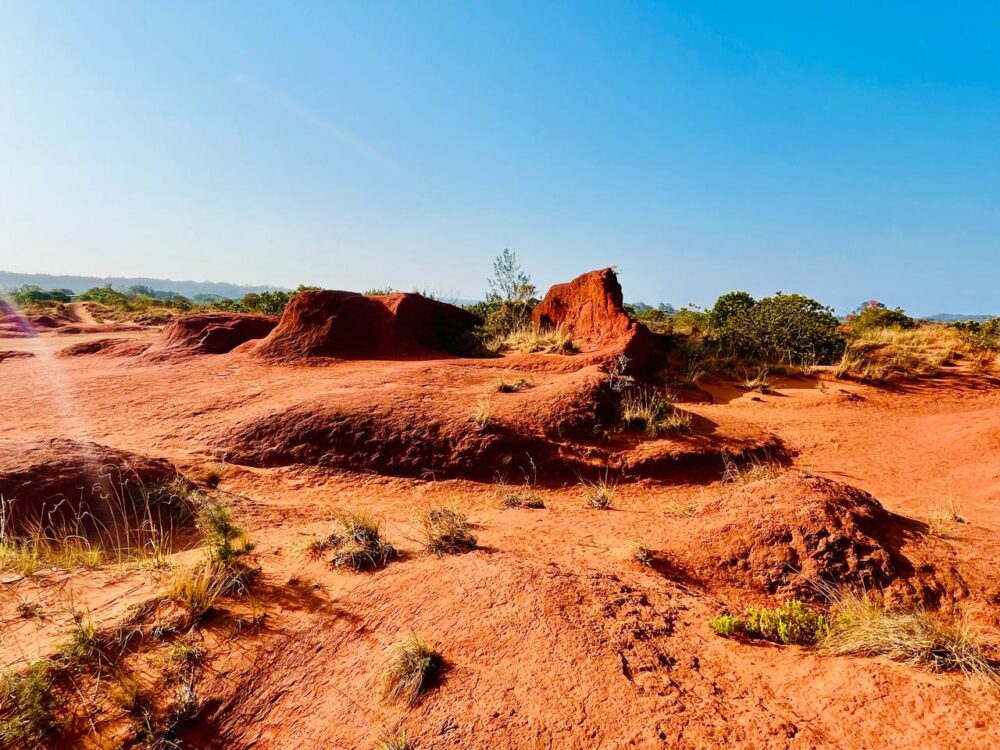 The Red Desert – Everything You Need to Know | South Coast Explore