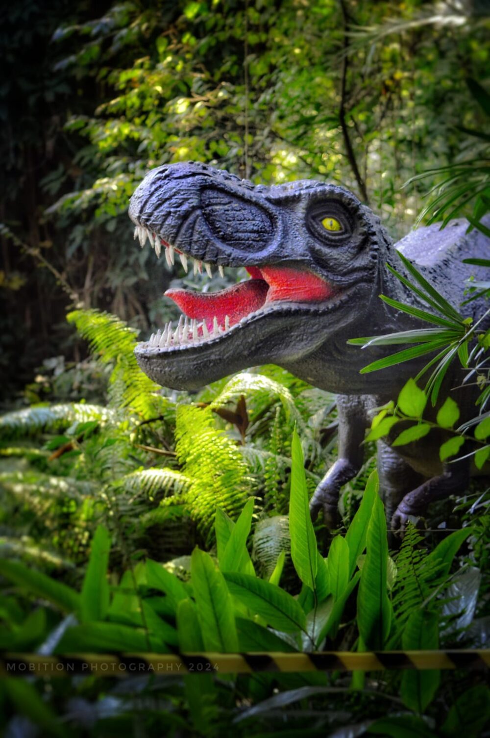 Dino Park SA: Where Prehistoric Adventure Meets South Coast Magic ...